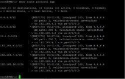 How to configure BGP on Juniper router | BlueMap Blogs